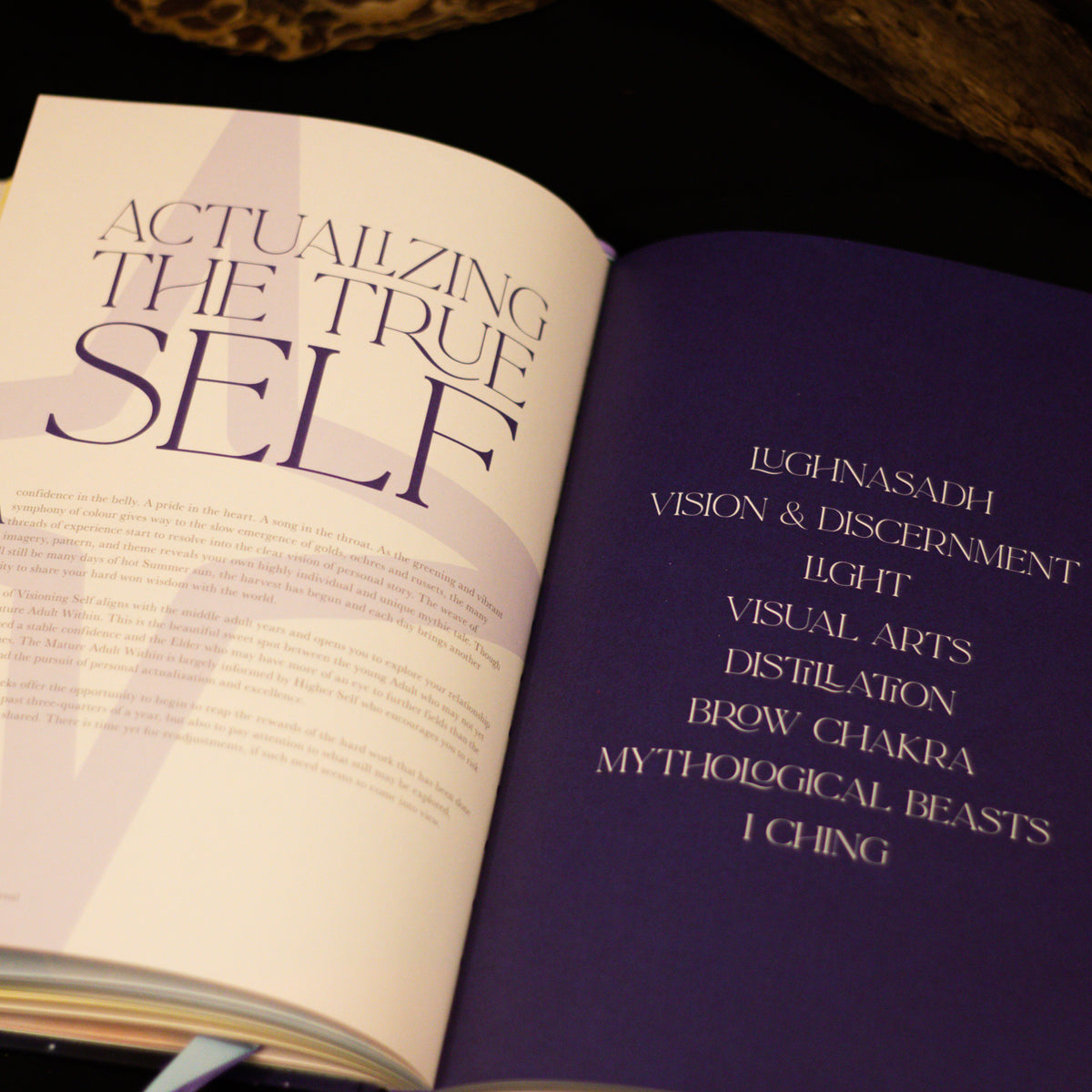 Soul Alchemist Journal – The Hermit's Path